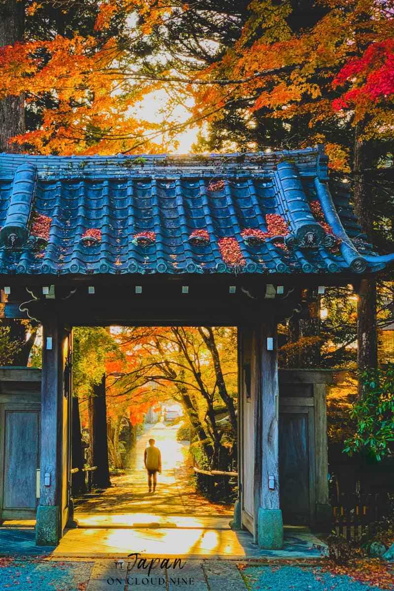 Fall Season in Japan : Best Activities and Places to View Autumn ...