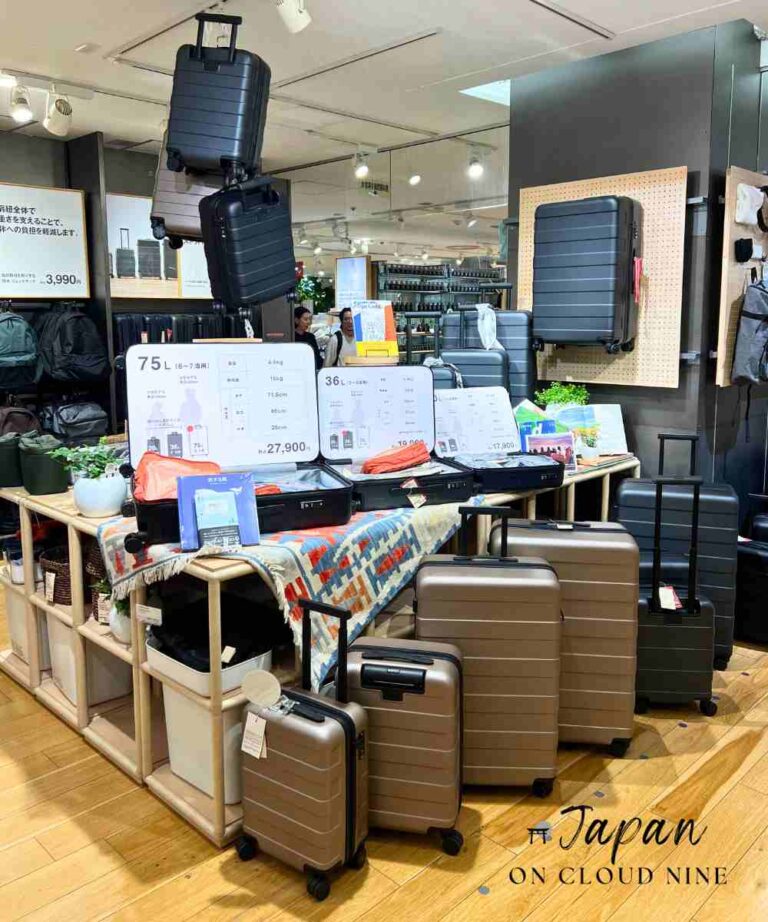 The Ultimate Guide to Easily Pack and Transport All Your Souvenirs Back ...
