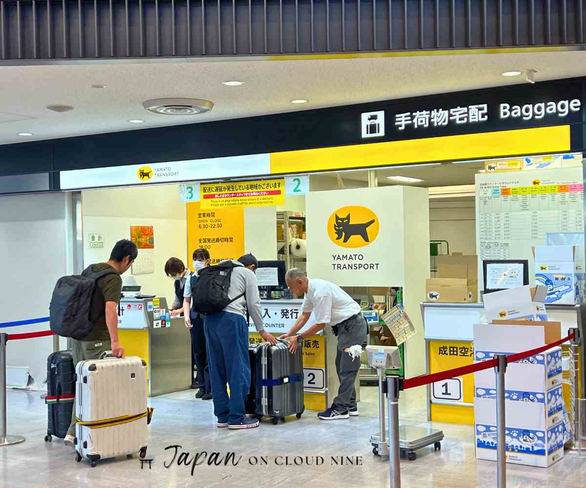 The Ultimate Guide to Easily Pack and Transport All Your Souvenirs Back ...